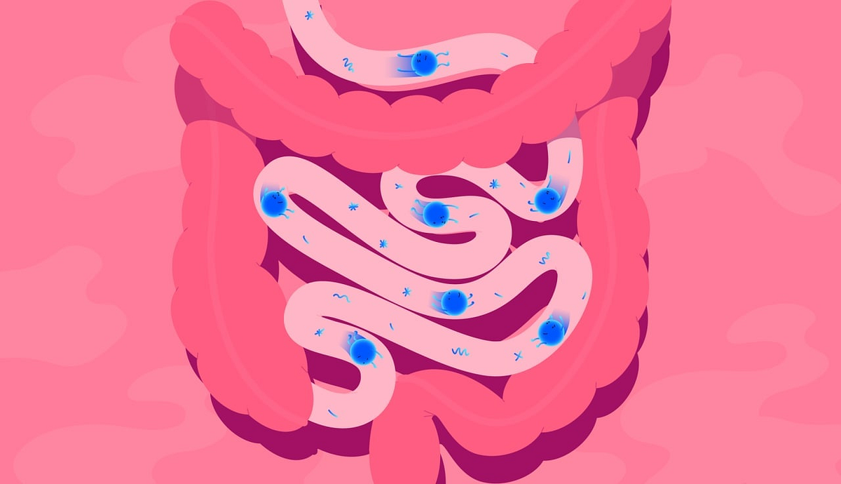How to adjust the work of the intestine? - Adil Razvi - Medium