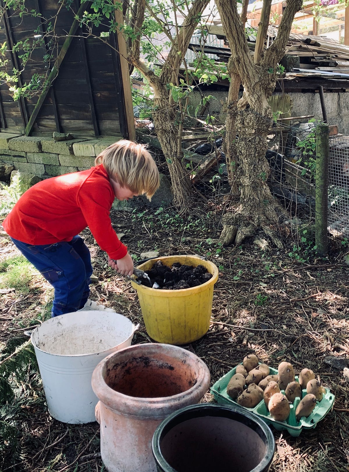 Scruffy gardening, is still gardening. | by Ian McClellan | Planetwise ...