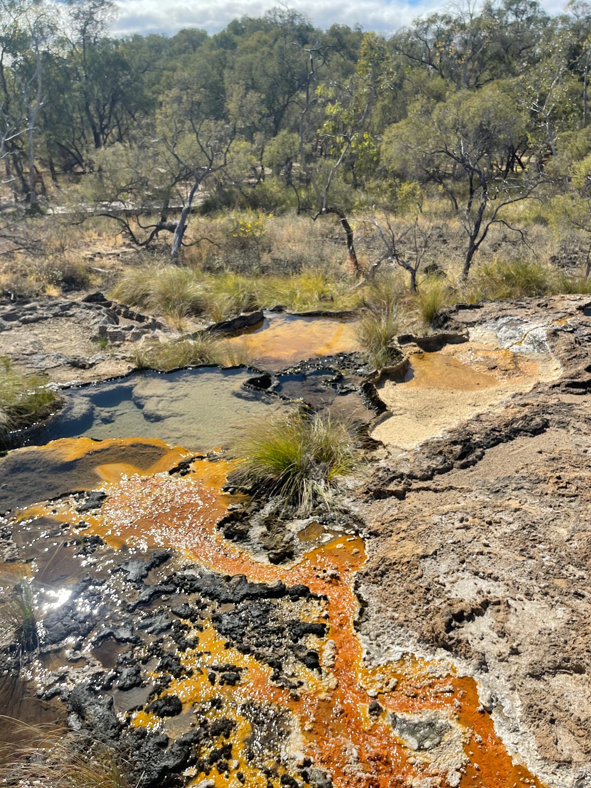 Talaroo Springs. Talaroo Springs | by Di Nichol-Smith | Medium