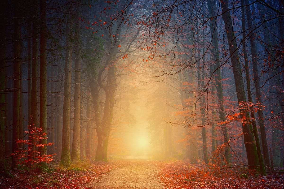 hope’s immersive - Jennifer Cowie King - Medium