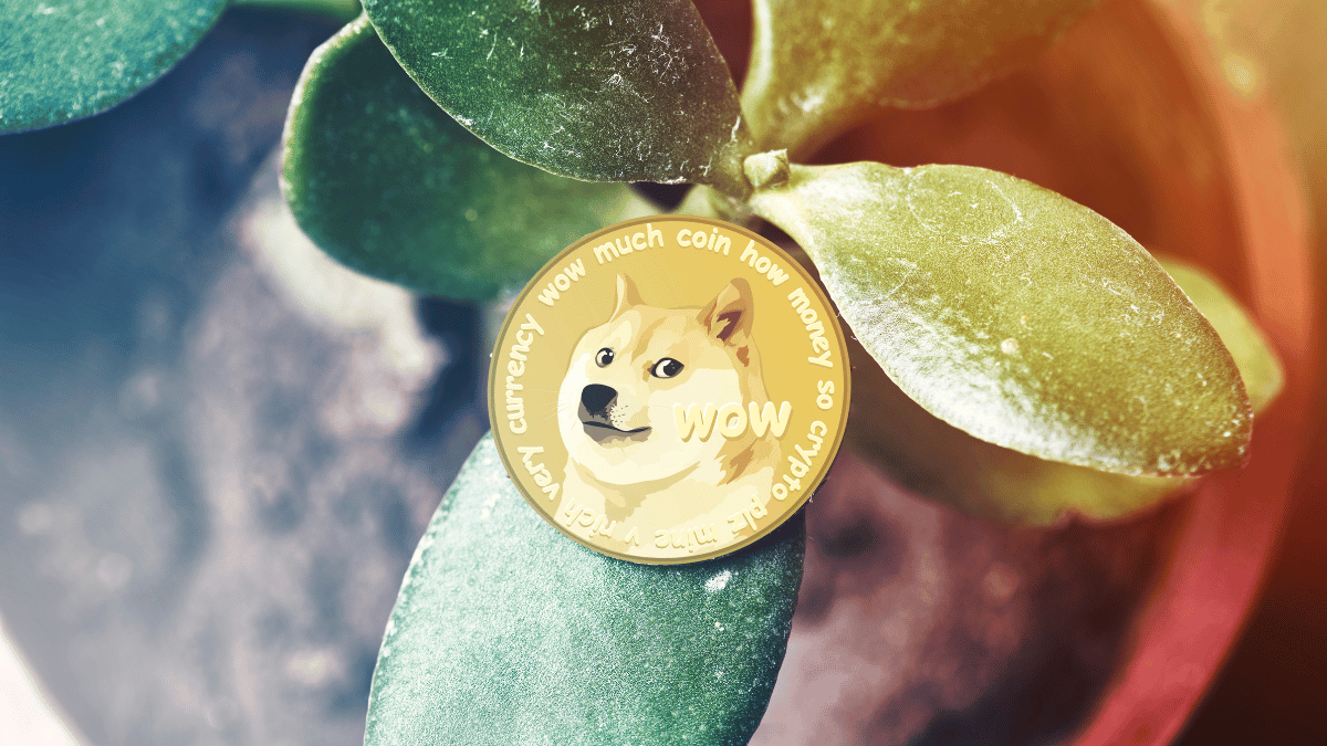 Shiba Inu Coin — Why it is so Much Popular Among Other Memecoins? | by ...
