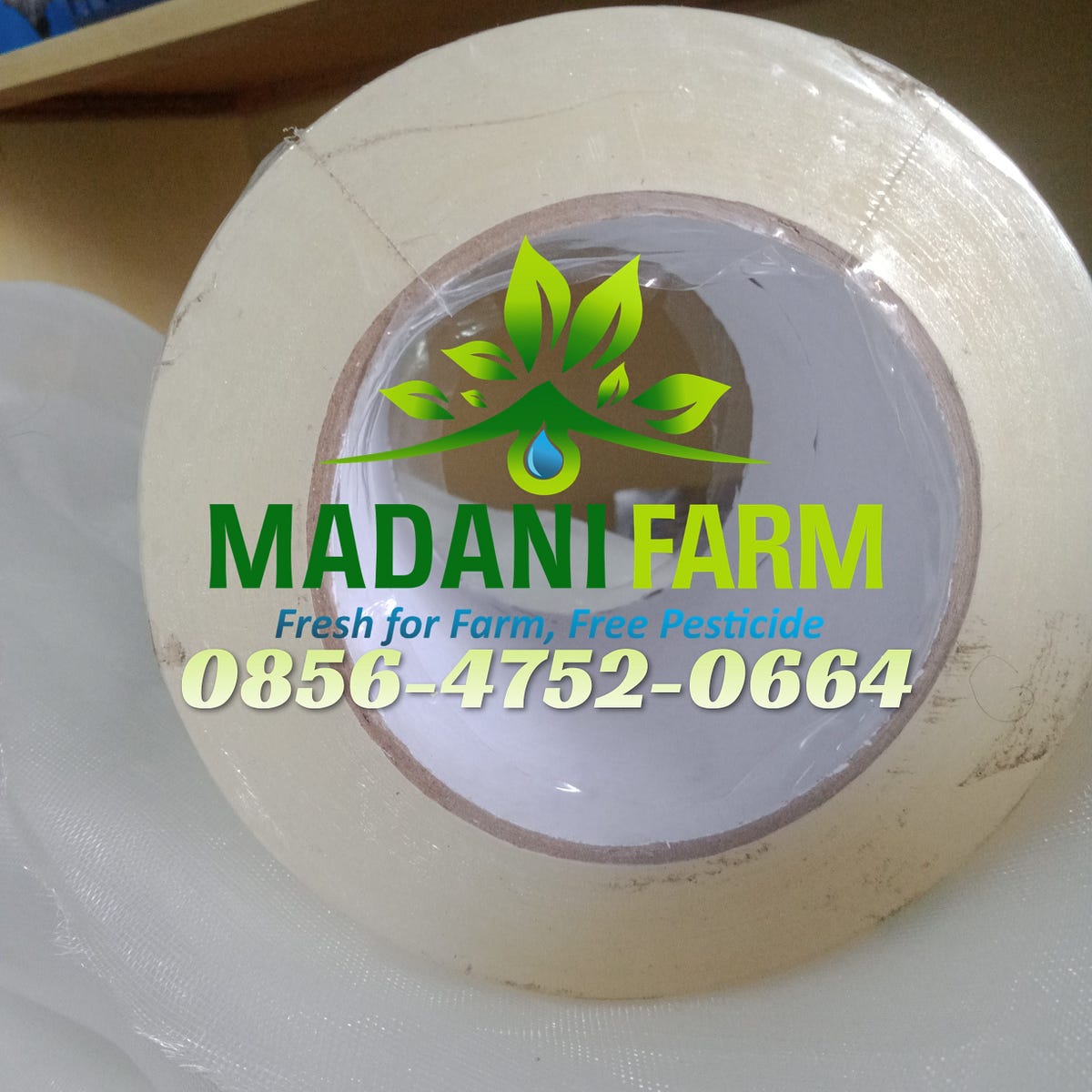 Isolasi / Lakban UV Spesifikasi Barang & Harga : - Lakban UV Import ...