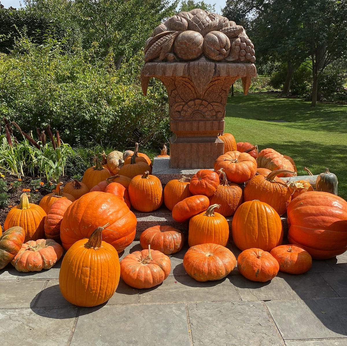 Fall into the Season - Six Word Photo Story Challenge - Medium