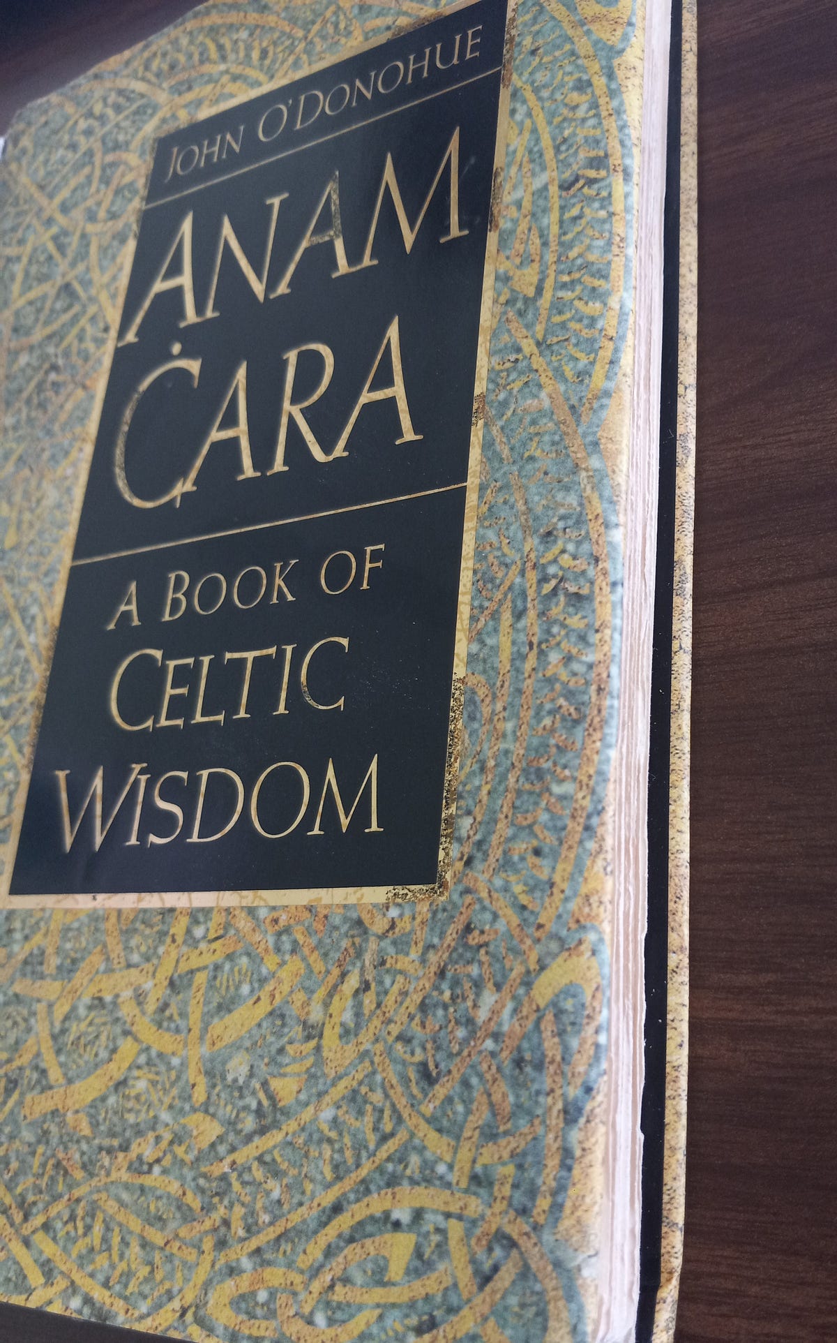 Anam Cara. A book of Celtic mystical wisdom | by Cheilapiresb | Medium