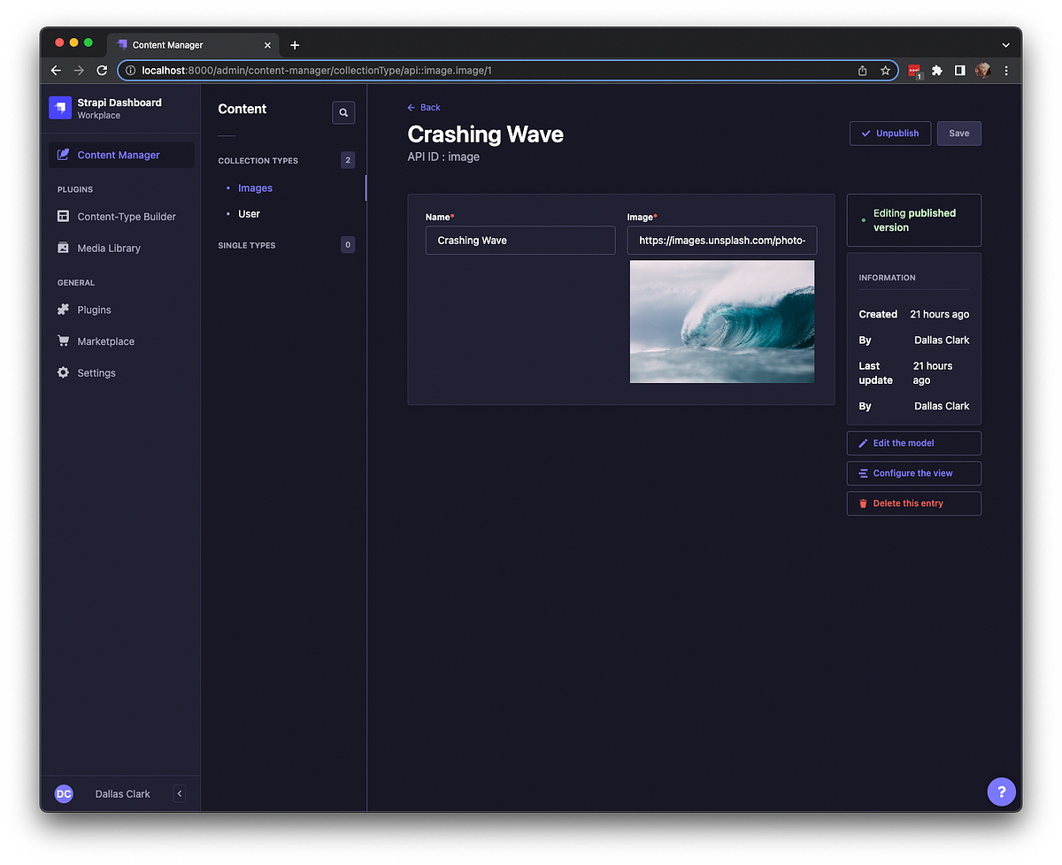 How to Create a Custom Admin UI Field Component in Strapi | by Dallas Clark | Medium