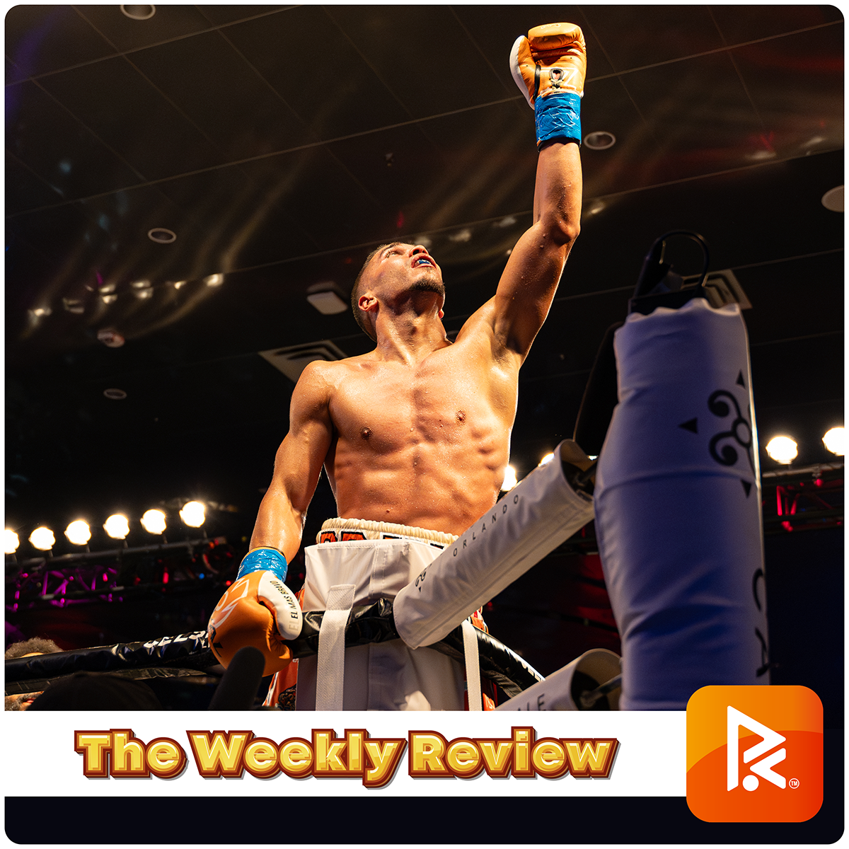 The Weekly review. Nestor Bravo: Fight Night | by Philcoin | Aug, 2023 ...