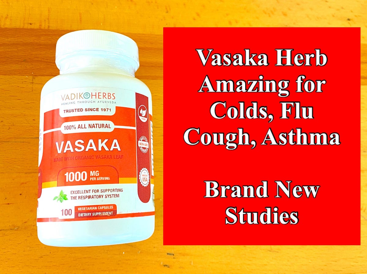 Vasaka Herb Amazing for Colds, Flu, Cough, Asthma — Brand New Studies ...