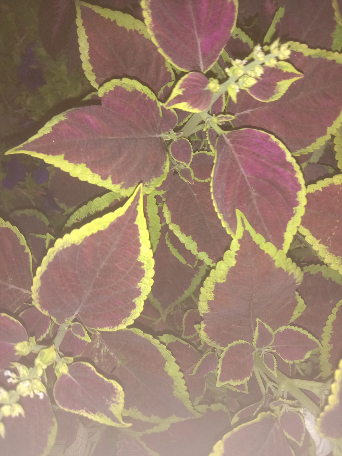 Spark Your Spiritual Renewal through Mother Nature | by The Uplifting ...