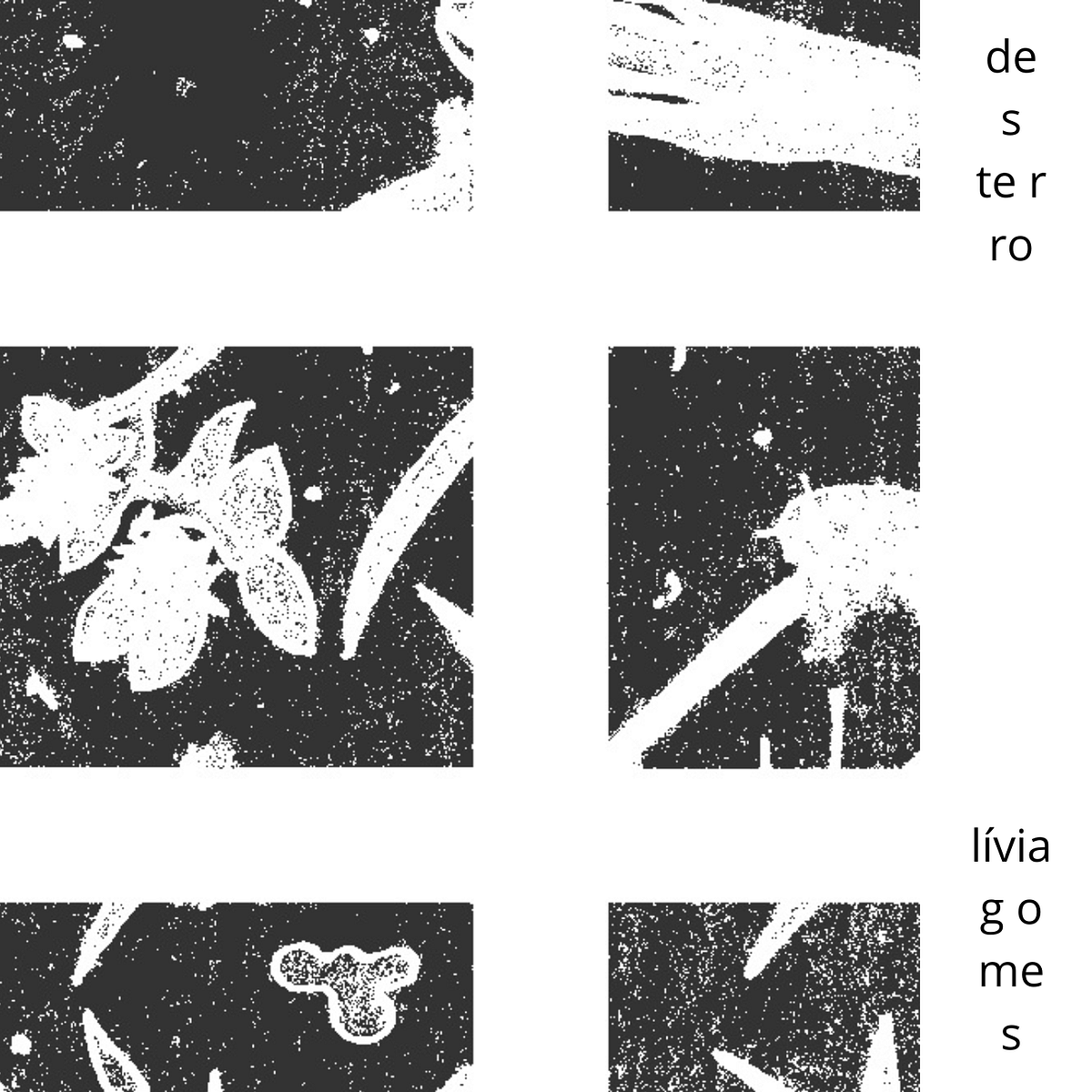 DESTERRO, zine - fuligem - Medium