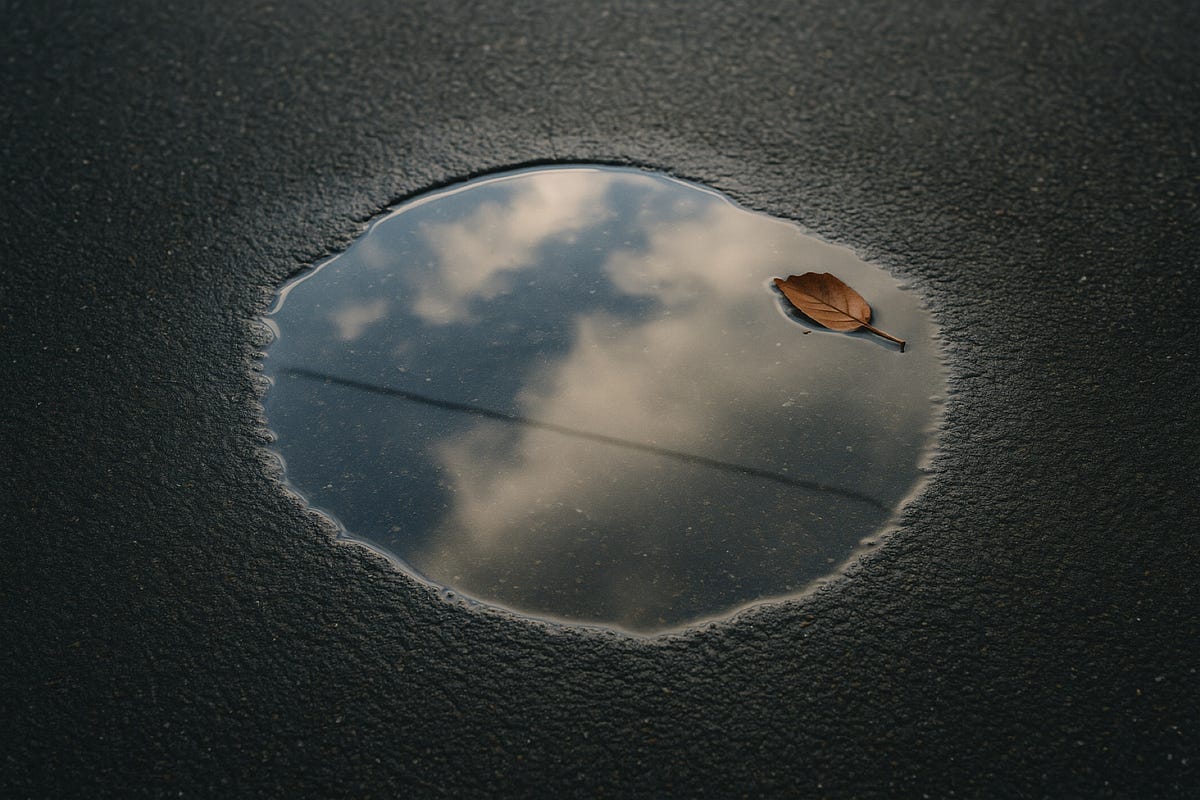 The Perfect Uselessness of a Puddle | by Prish | Aug, 2025 | Medium