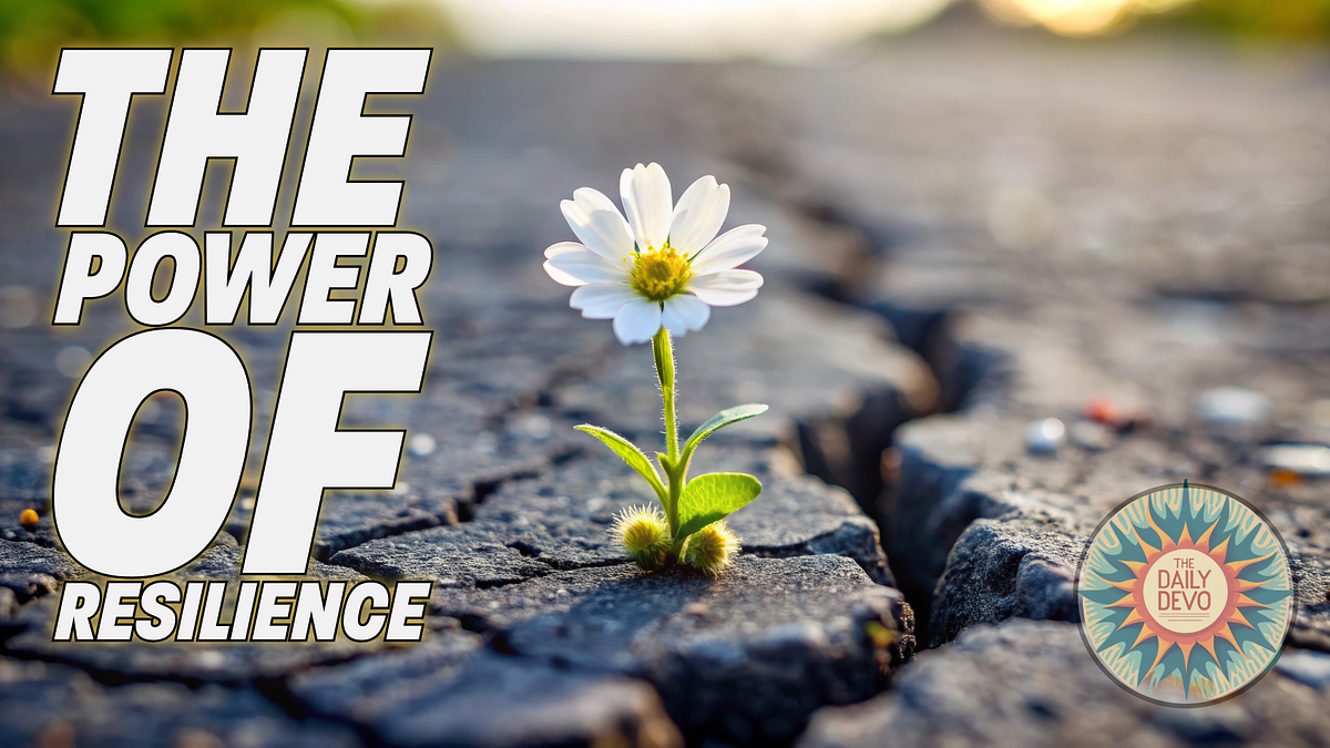 The Power of Resilience. I have been reading about resilience… | by ...
