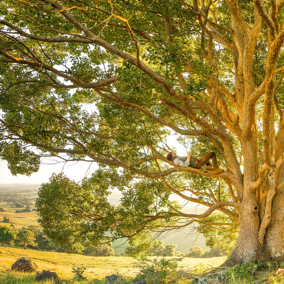 Protecting A Legacy (Writetober — Elm) | Writetober