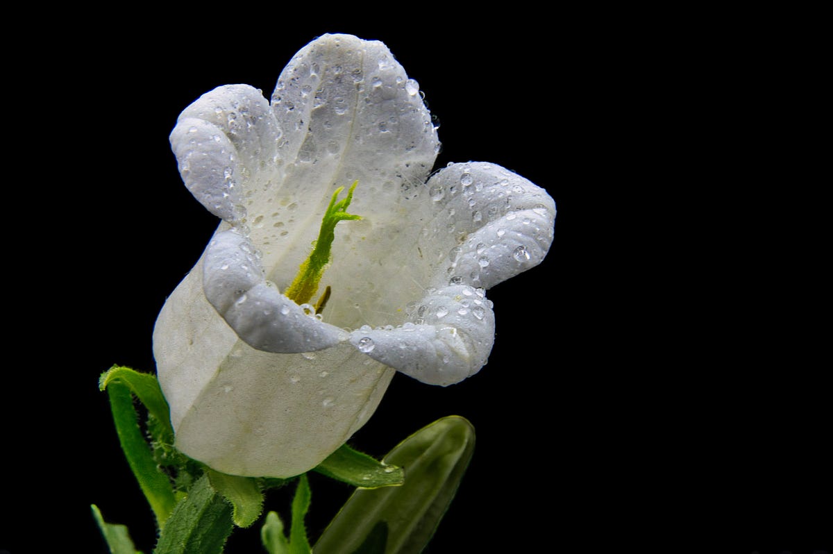 Hinton, Oklahoma Wants It’s Prisoner Per Diem. The GEO Group Says No ...