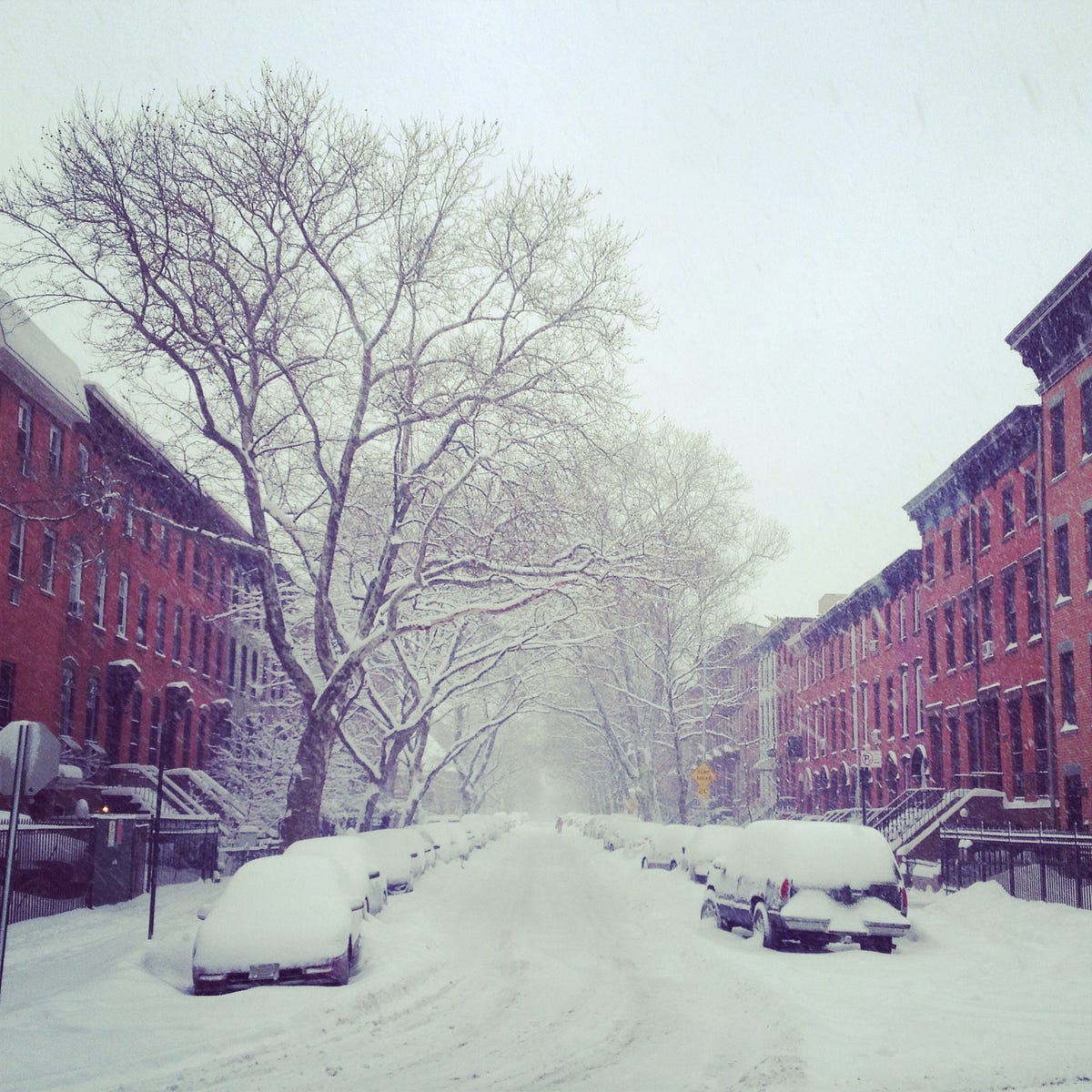 Frozen footing. Thoughts on Monday, February 2, 2015 | by Jeffrey Doker ...