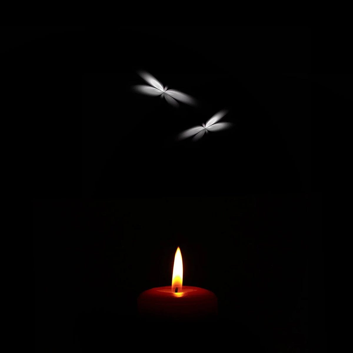 Blown love. I’ve been talking about love too much… | by Hamed Noroozi ...
