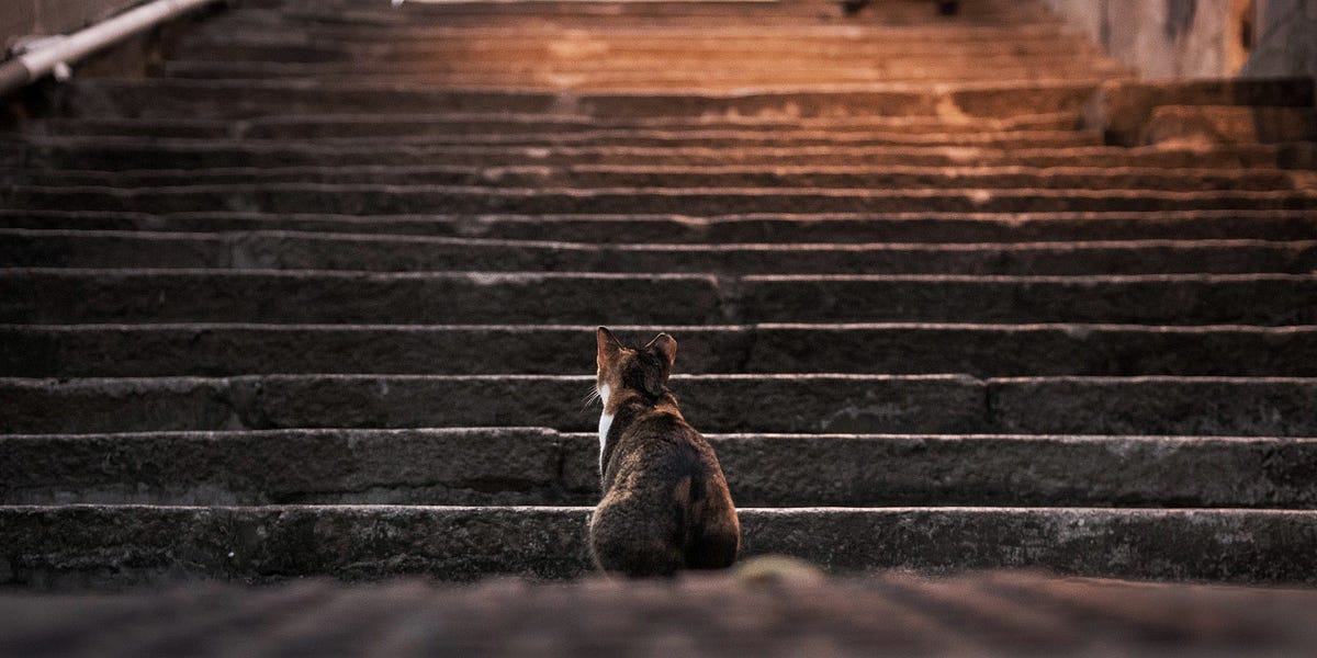 Time Series Forecasting Step-by-Step | by Dimitris Effrosynidis | Analytics Vidhya | Medium