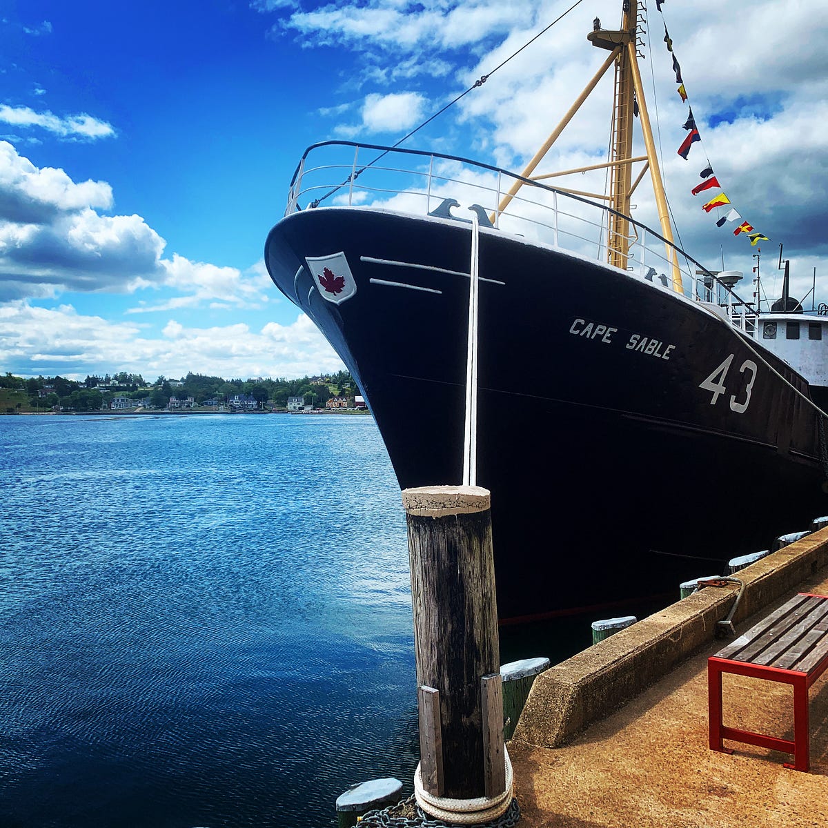 My Photography Journey So Far. If I were to plot my photography… | by ...