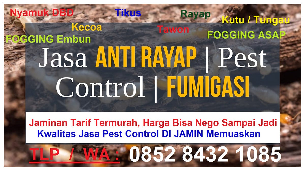 Jasa Pest Control TerMurah Di Jakarta Utara Harga Nego Sampai Jadi ...