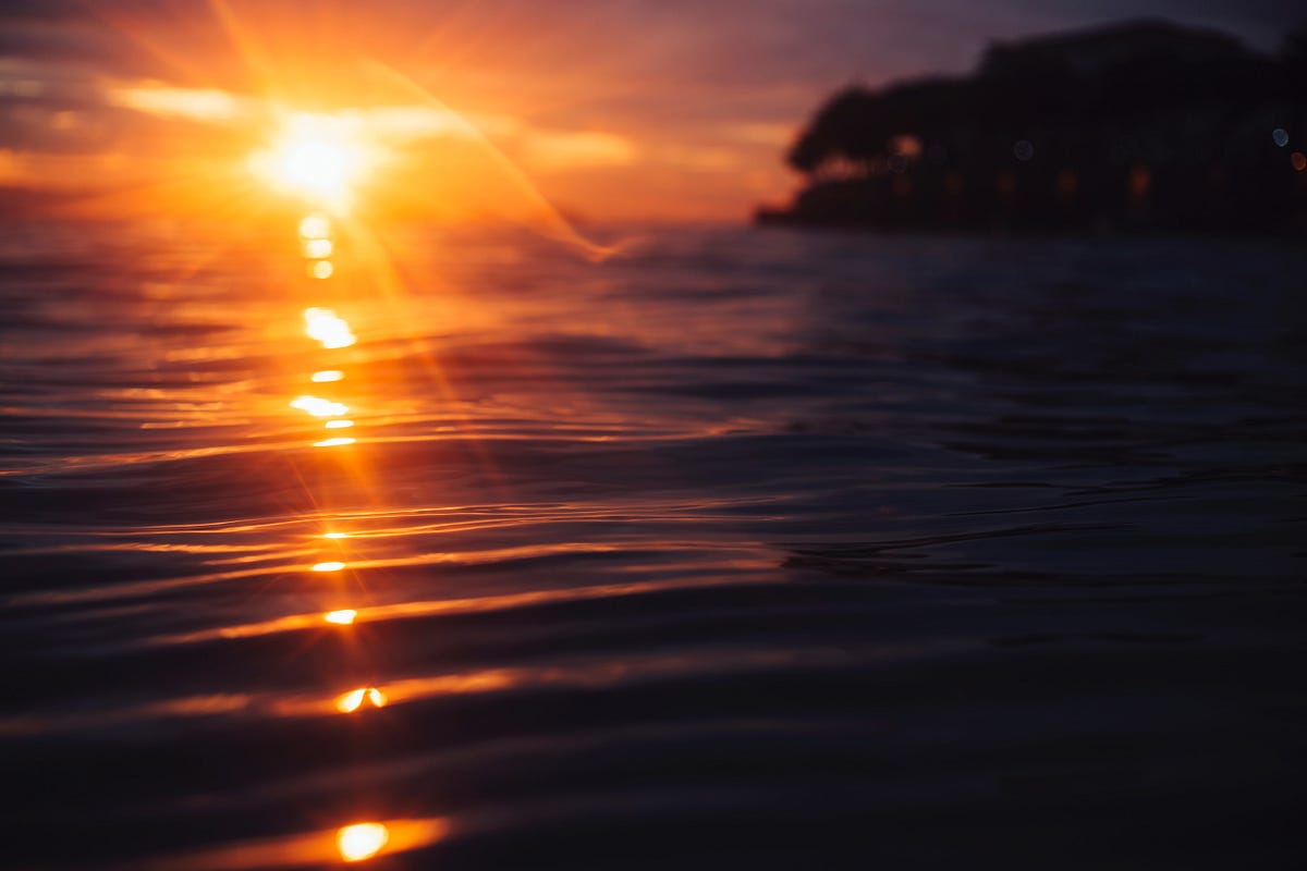 3 Ways to Train your Brain and Practice More Gratitude | by Tracy Mansolillo | Carpe Diem Daily ...
