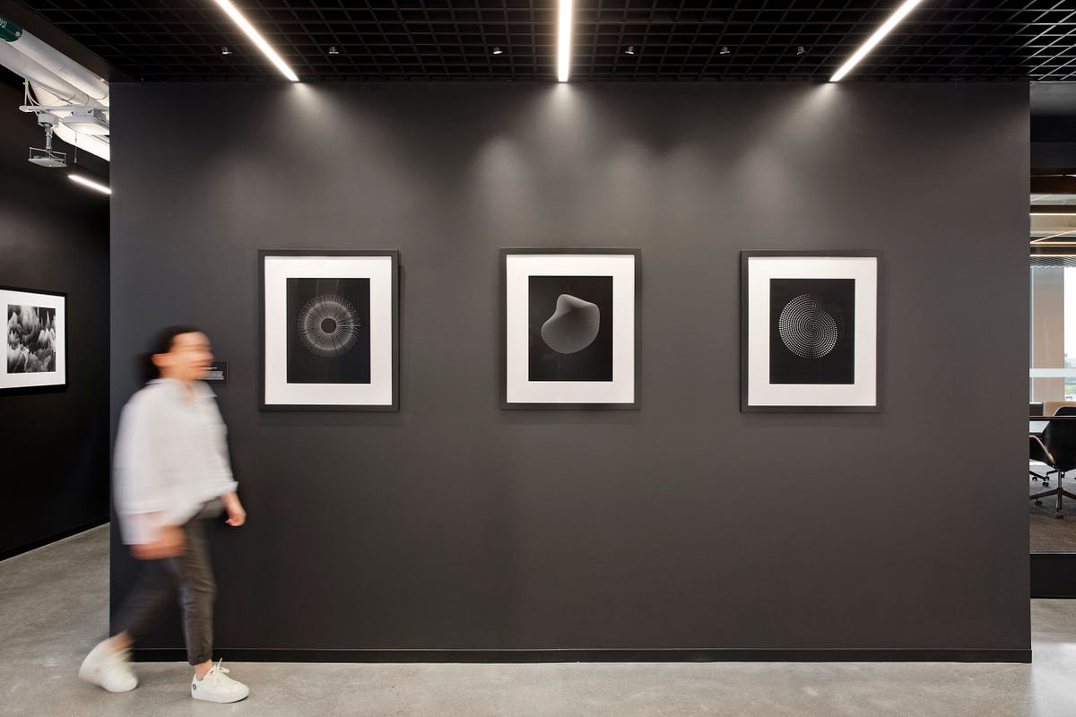 Art in Design: How to captivate users through exquisite design. | by ...