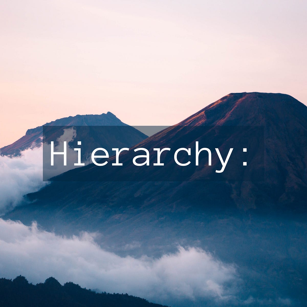 Hierarchy: - The Anarchist Environmentalist - Medium