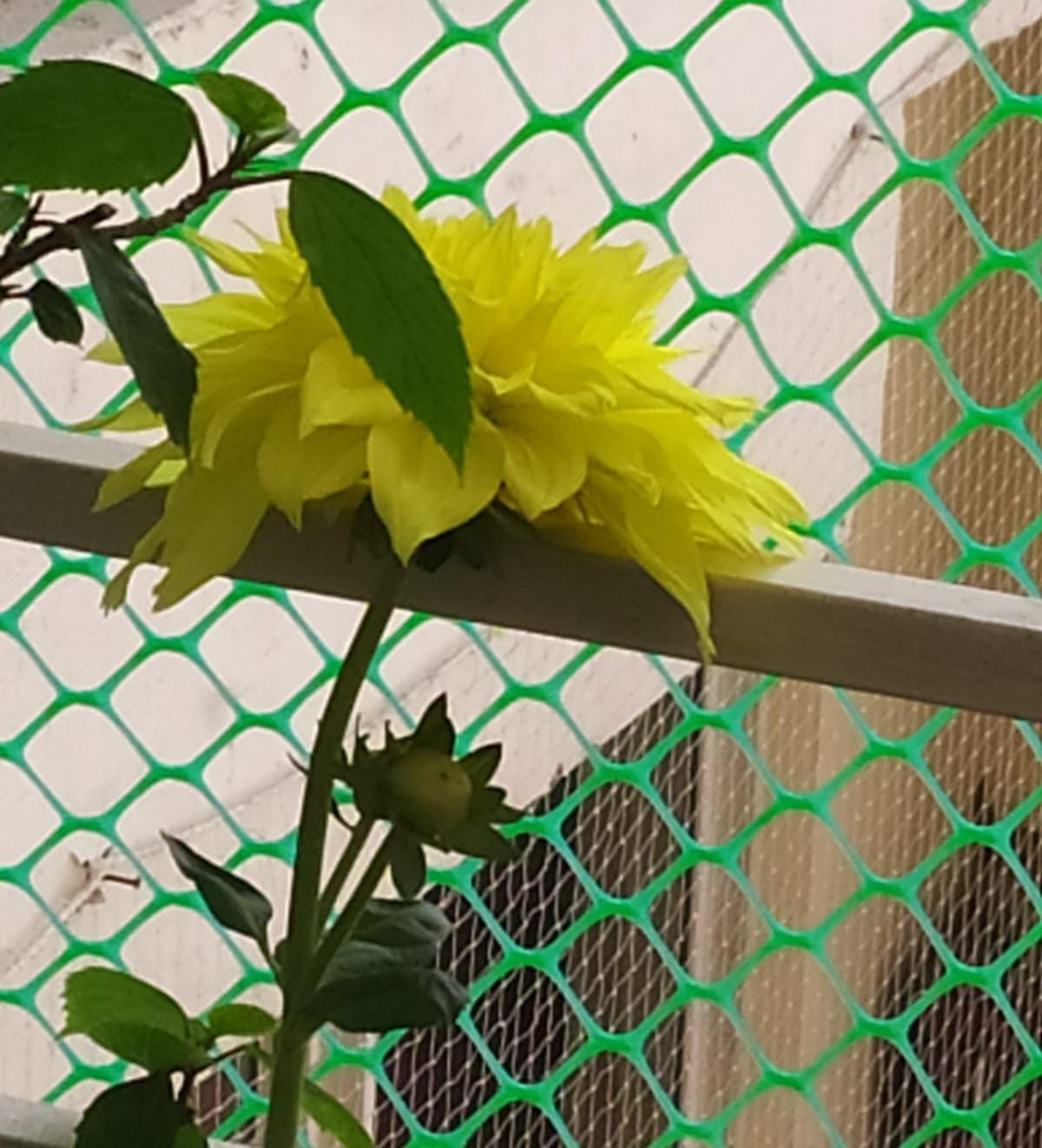 Chasing Sunshine In January. When the sun plays catch-me-if-you-can ...