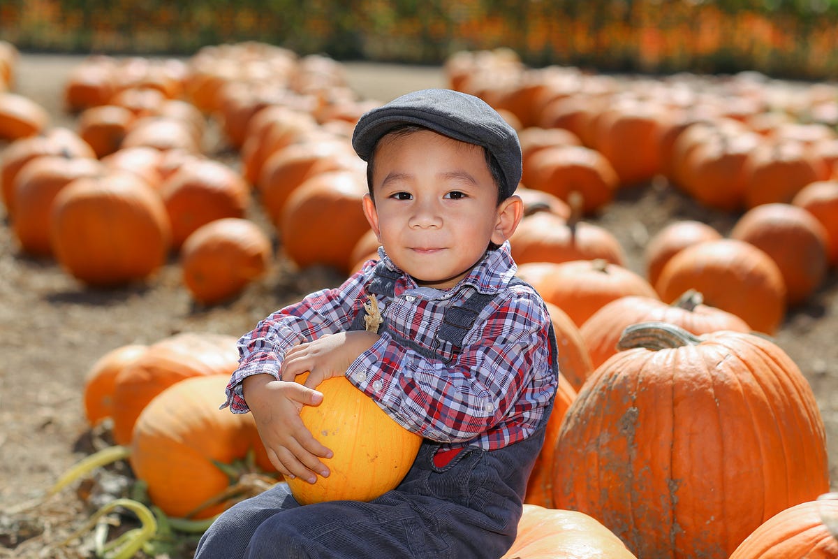 5 Fall Themed Family Learning Activities | by Love2Learn Idaho ...