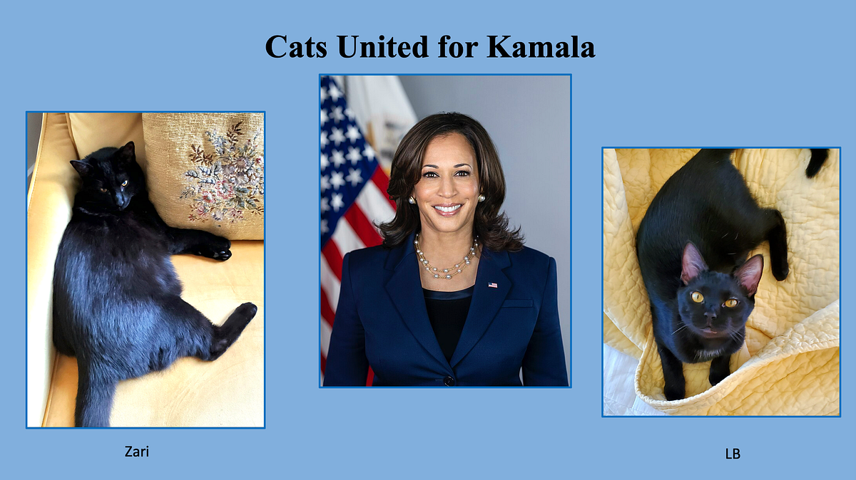 Cats Are Ready to Cast Their Votes for Kamala Harris | by Laura Sturza ...