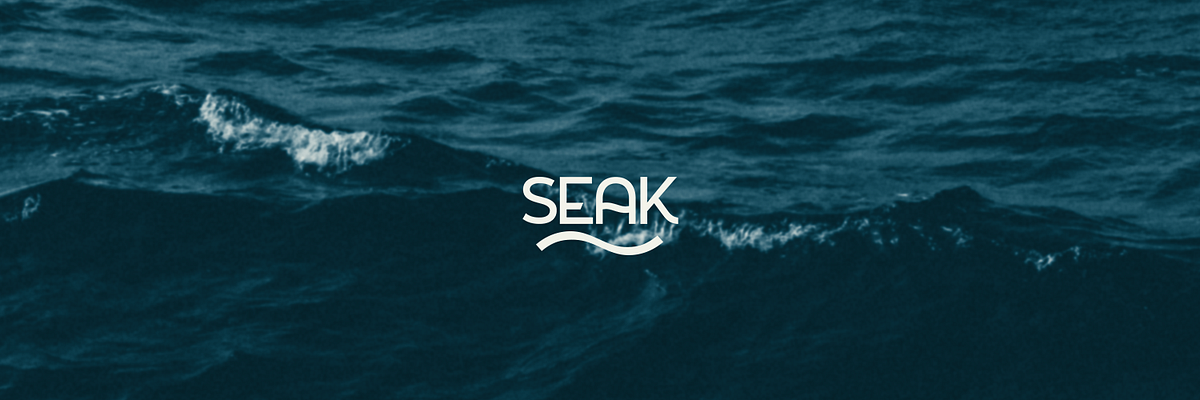 The past, present, and future of SEAK. | by Benye | Medium