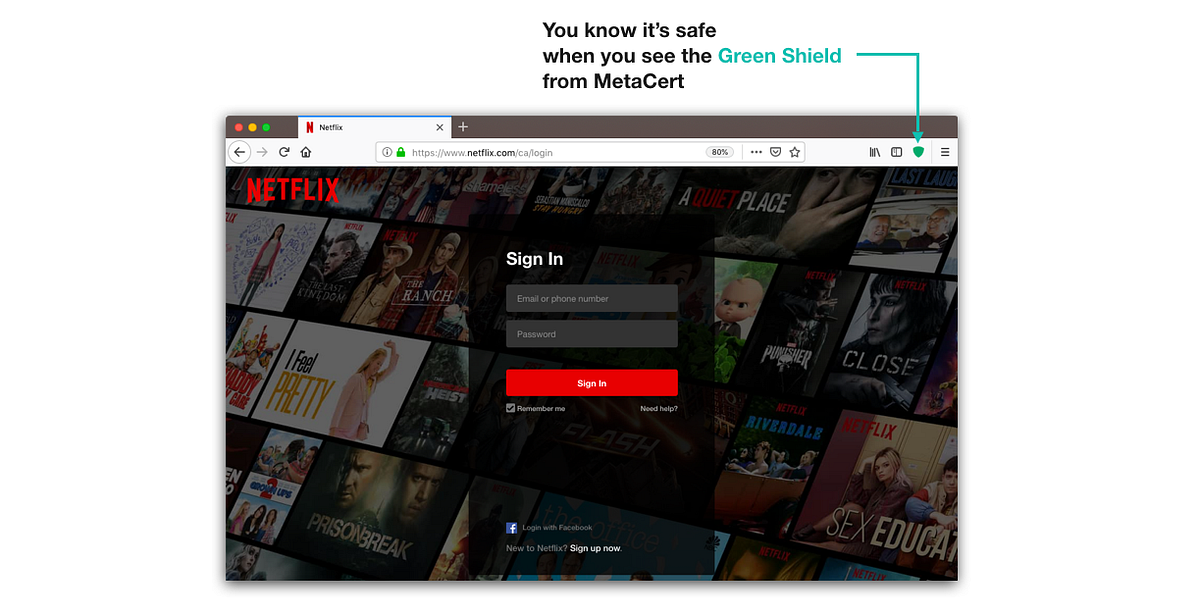 Find Out How To Avoid Netflix Phishing Scams | by Paul Walsh | METACERT ...