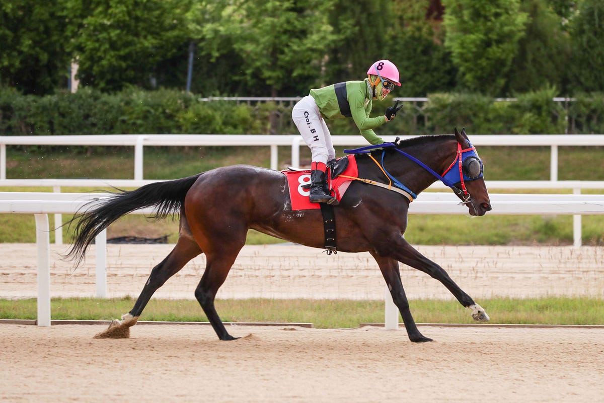 HANDICAPPING KOREAN RACING. The Korean race is quite easy to pick… | by ...