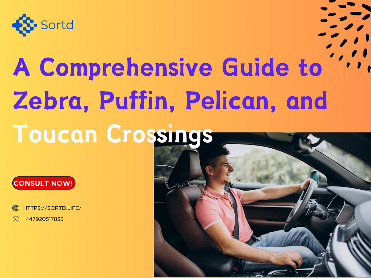 A Comprehensive Guide to Zebra, Puffin, Pelican, and Toucan Crossings ... A Comprehensive Guide to Zebra, Puffin, Pelican, and Toucan Crossings ...