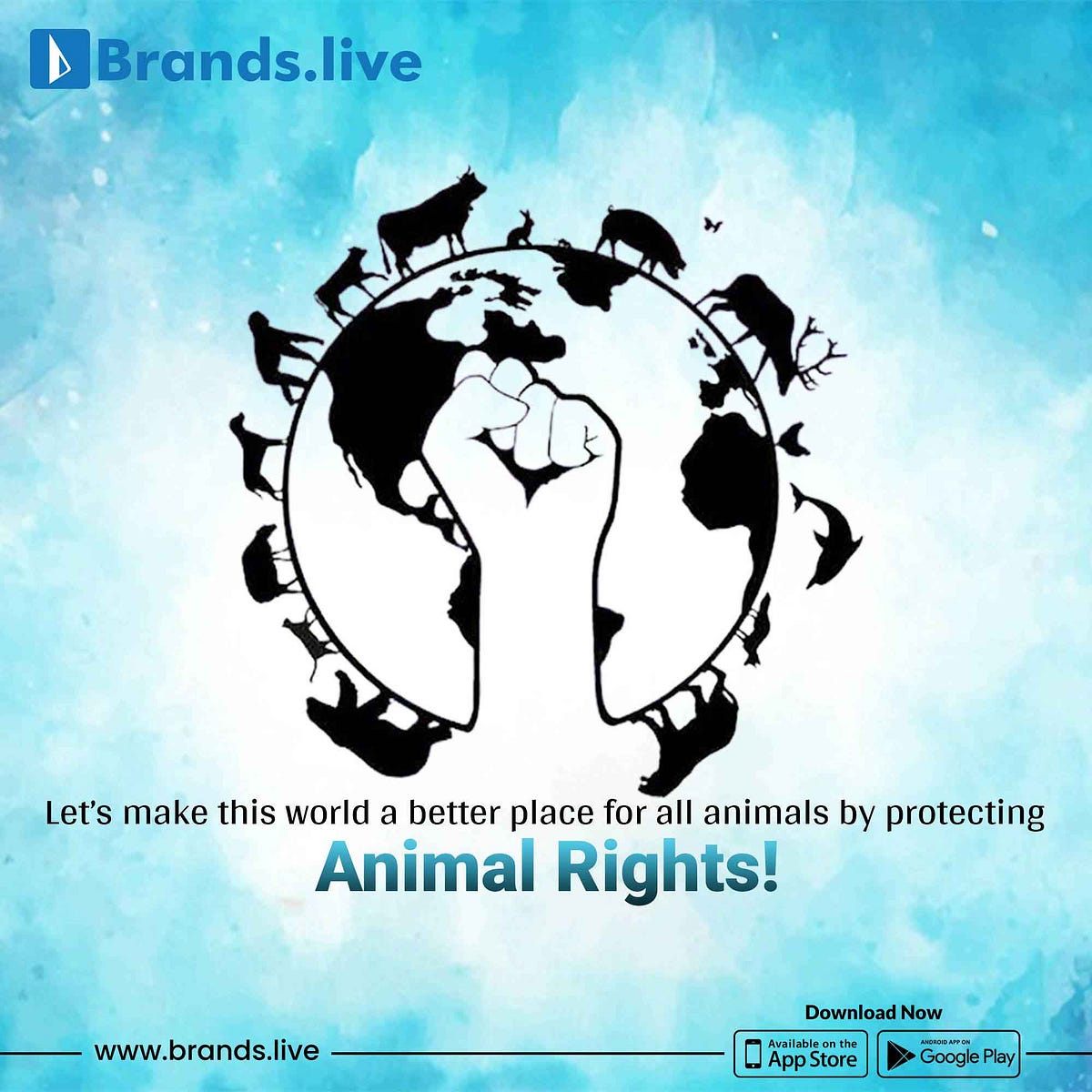 International Animal Rights Day: How You Can Celebrate | by Brands.live ...
