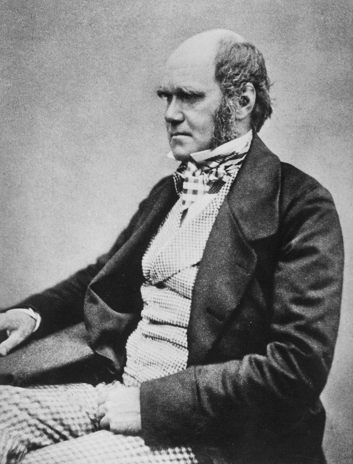 Double Down on Darwin’s Doubt. What did Darwin really mean by his… | by ...