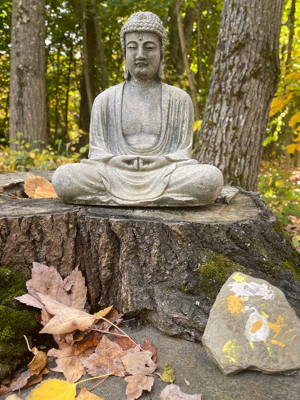 Buddha leaving home his first taste of true freedom his heart abundant ...