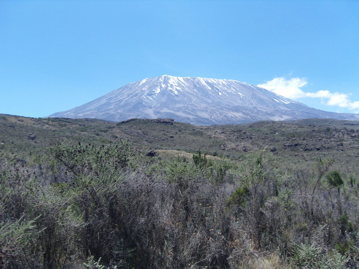 Yes or No? Binary Tracking. Much of life comes down to whether or… | by ...