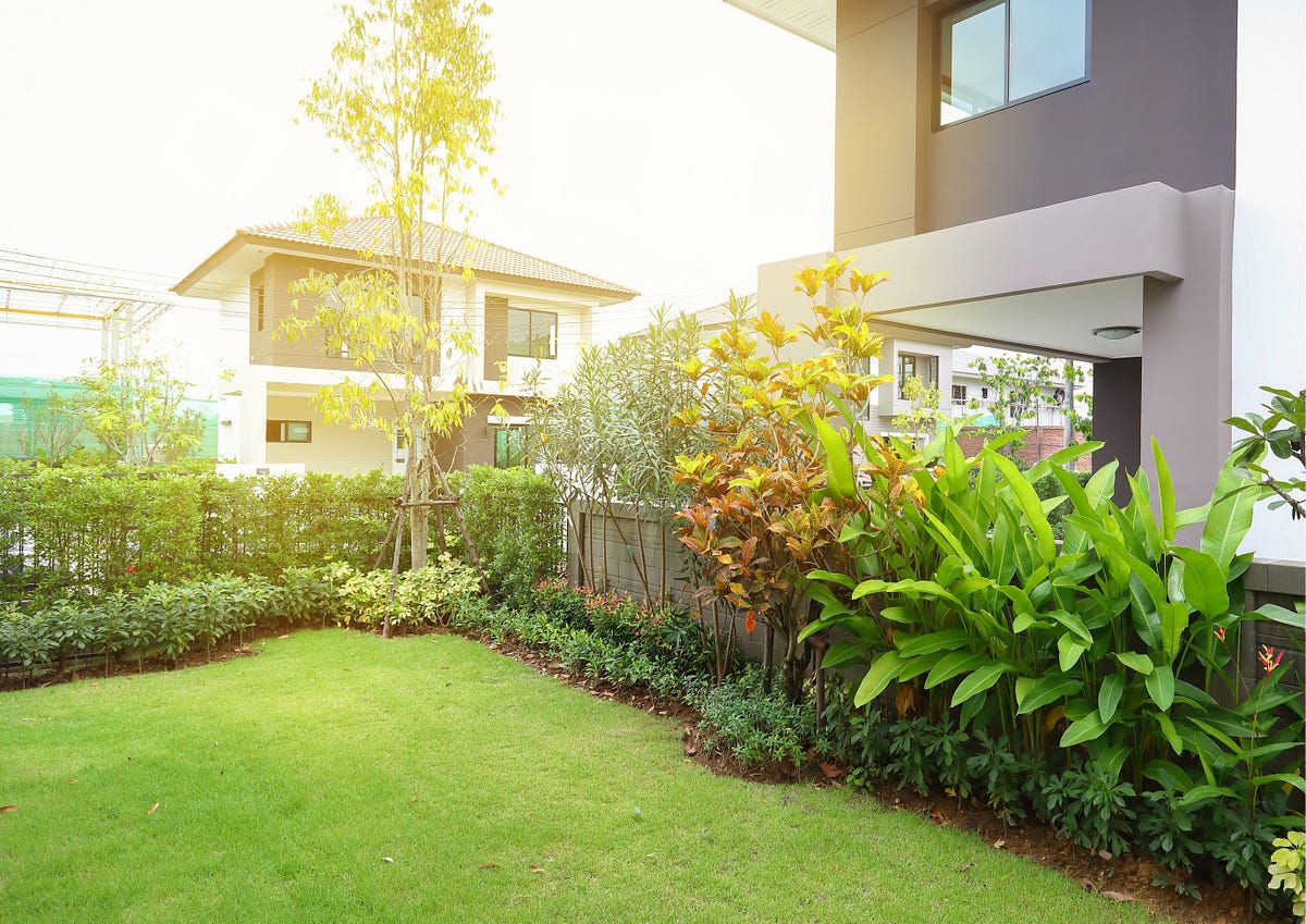 Landscaping and Design: Transforming Your Garden with Professional ...