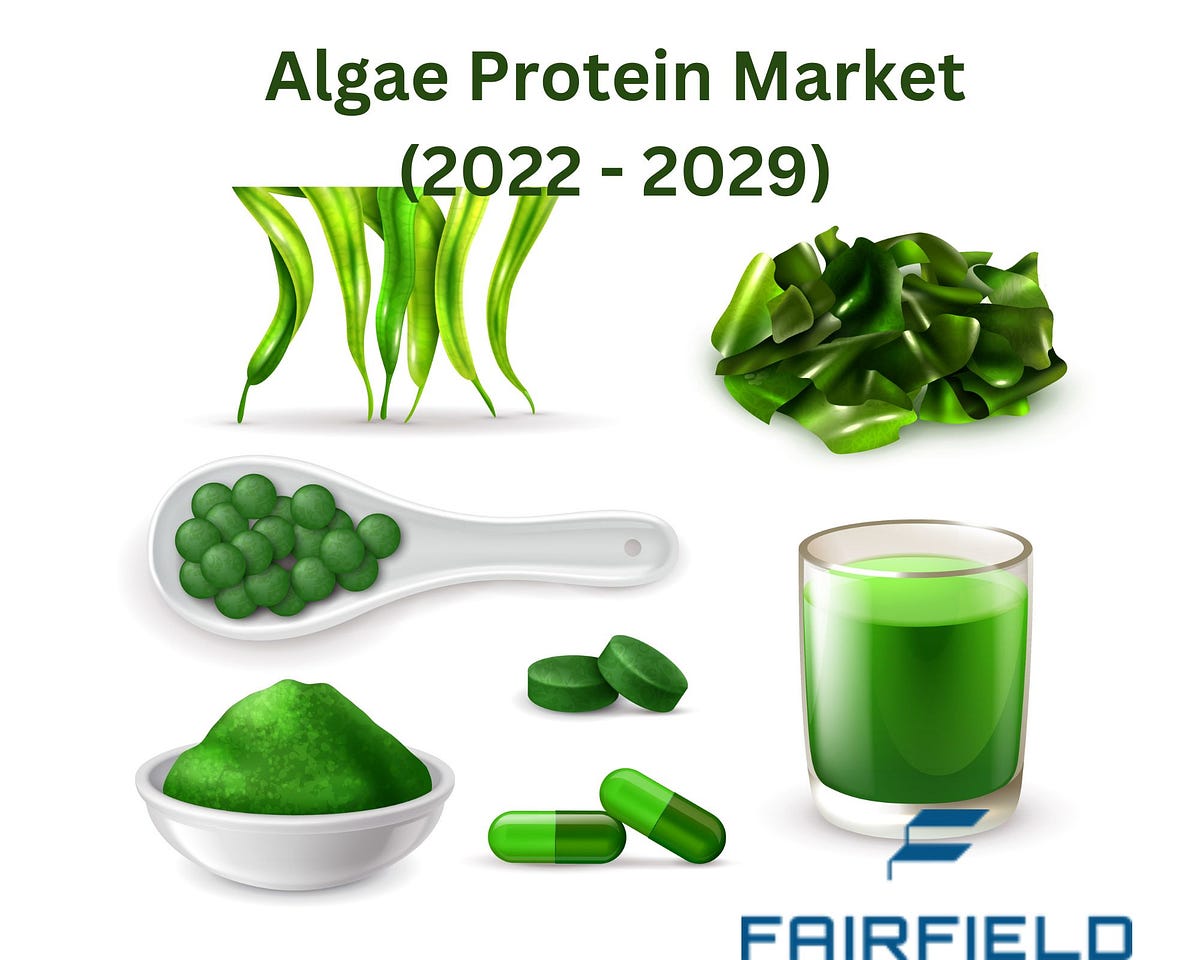Algae Protein Market By Application Production, Share, Trends and ...