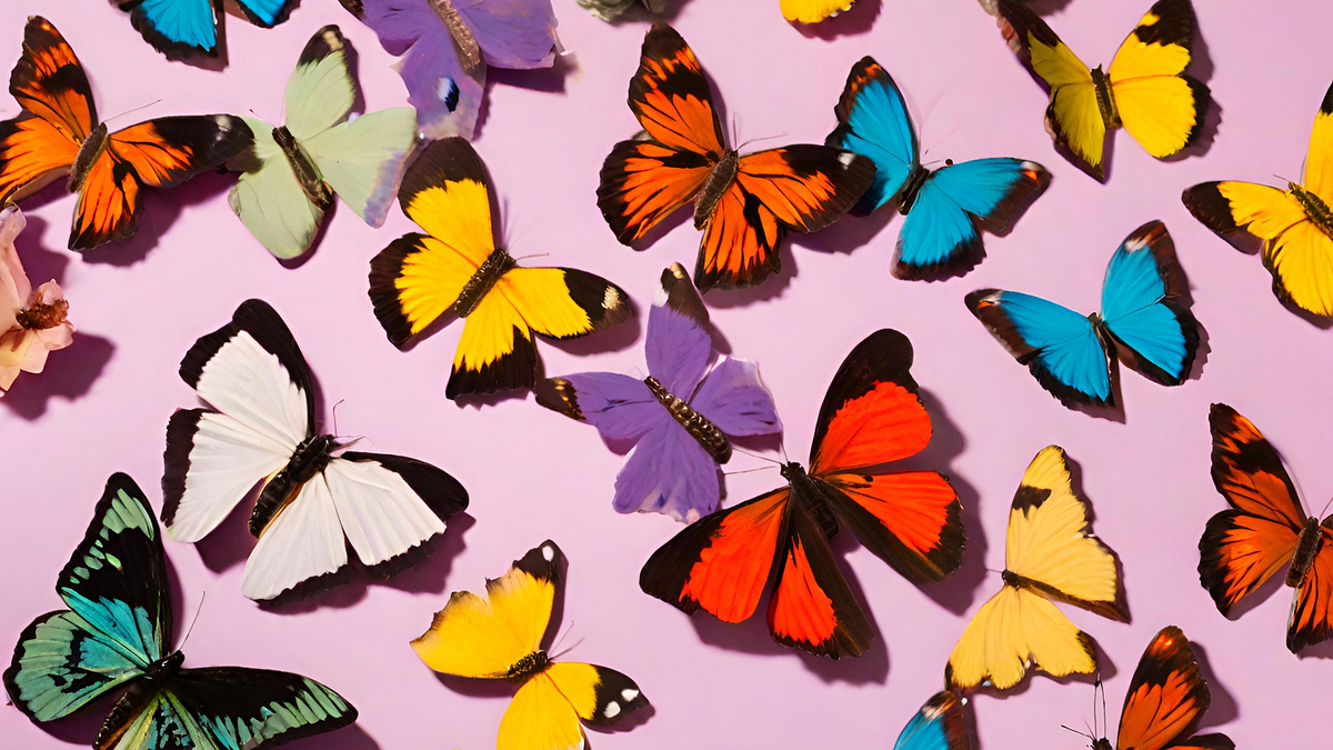 40 Types of Butterflies in Arizona | by Animal of Things | Medium
