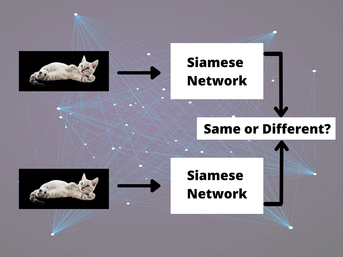 What are Siamese Neural Networks in Deep Learning? | by Nour Islam Mokhtari | Towards Data Science