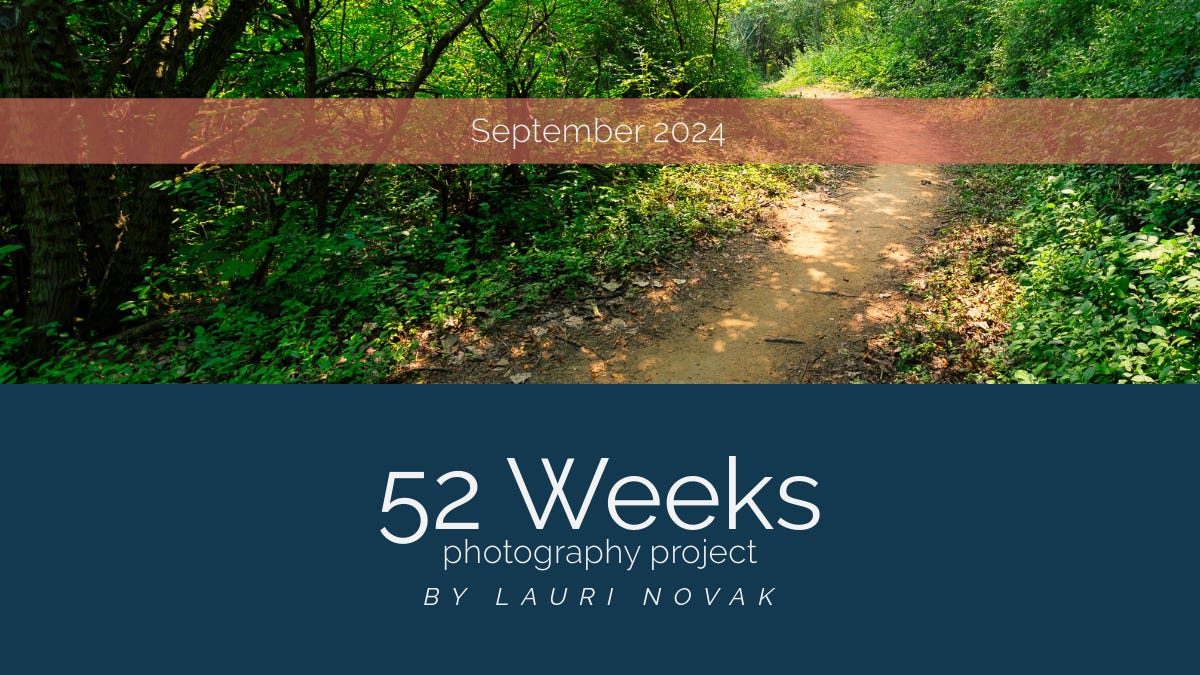 52 Weeks Photography Project. September 2024 | by Lauri Novak | Full ...