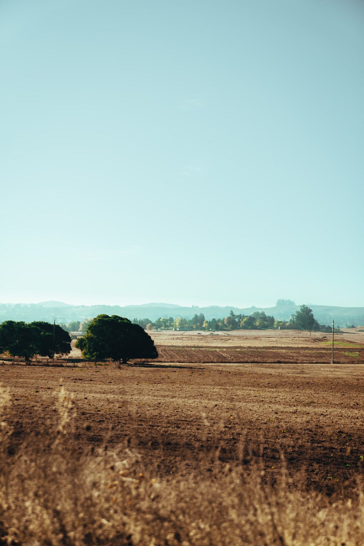 China buying American land | by David Danon | Dec, 2023 | Medium