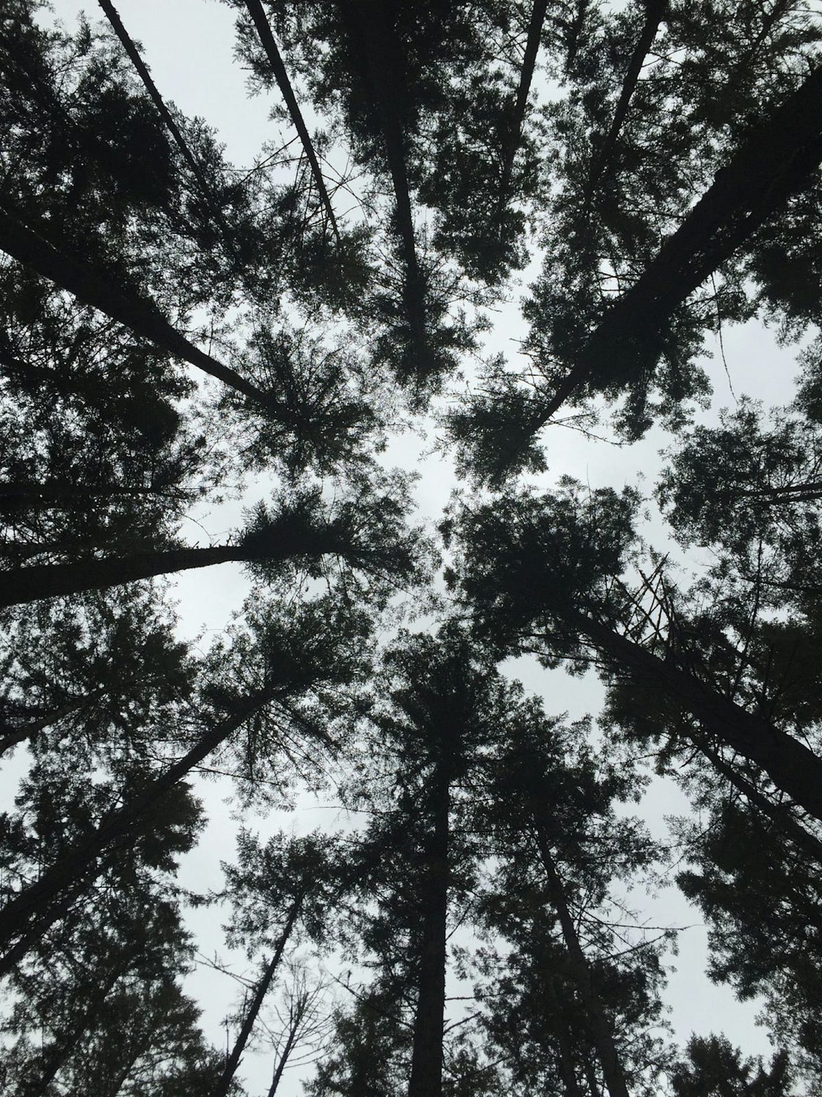Visionary Non-Starter. Dreams are meant to be lived | by Haven of ...