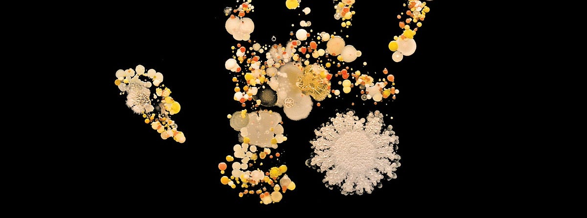 How I Learned to Stop Worrying and Love Bacteria | by Penguin Random ...