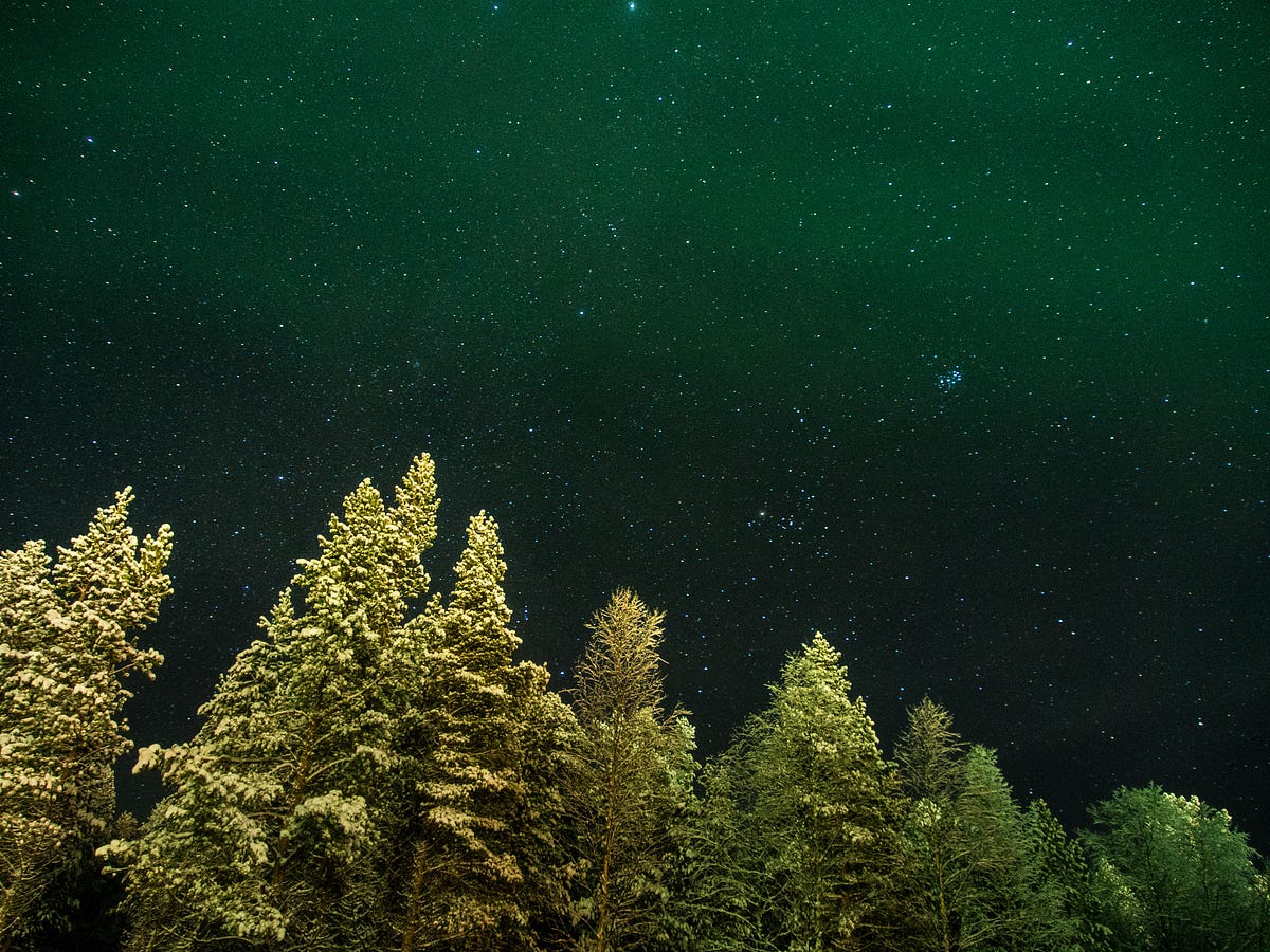 Starshine. They were out there, he knew. | by Rhiannon D'Averc | Medium