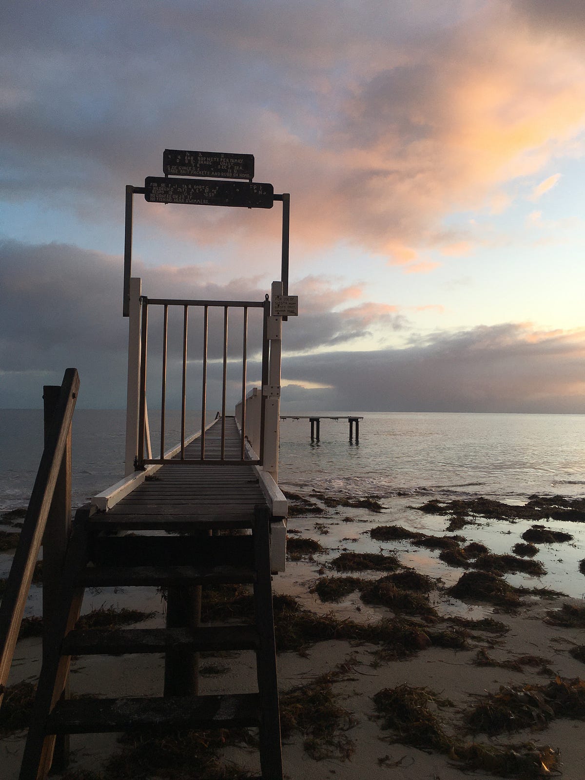 Dawning. When will we see? | by Amy Marley | The Intoxicating Unhinged ...