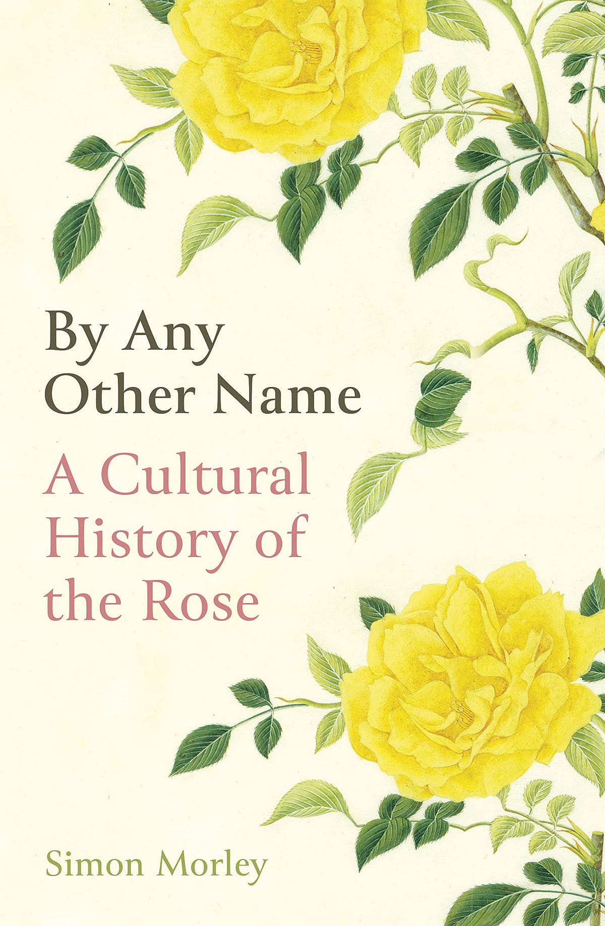 [READ] By Any Other Name: A Cultural History of the Rose | by ...