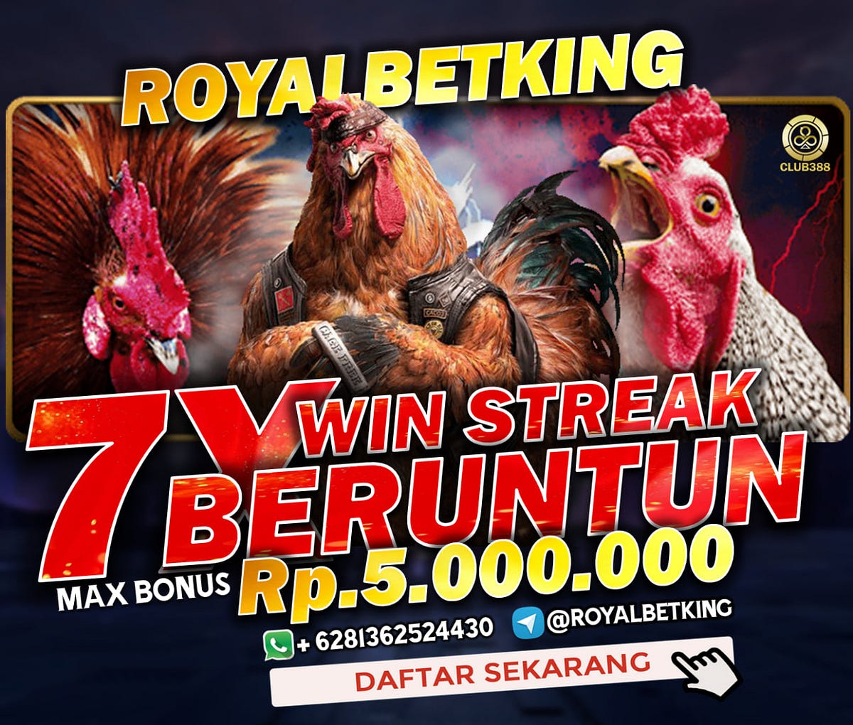 DAFTAR AGEN SABUNG AYAM CLUB388 - ROYALBETKING - Medium