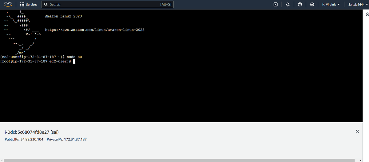 Minikube set up project. Minikube is a lightweight Kubernetes… | by ...