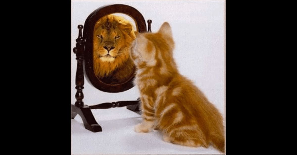 Consciousness & Qualia: Who Cares About “How They Seem To Us”? | by ...